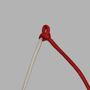 Snake knot | Useful Knots