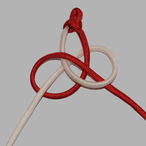 Snake knot | Useful Knots